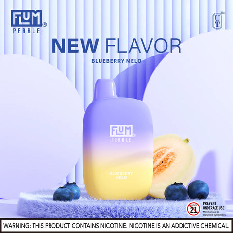 FLUM Pebble - Blueberry Melo | America's No.1 Online Vape Store | PPNY ...